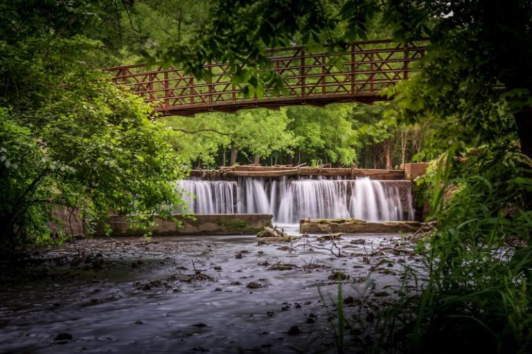 Featured Artists – Missouri Arts Council